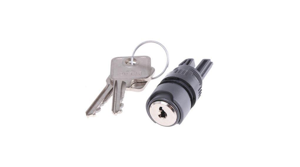 A018323 | Apem 2-position Key Switch Head, Latching | Distrelec Schweiz