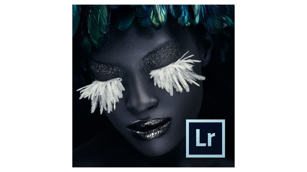 65237407 | Adobe Lightroom, Activation Key, Retail, French | Distrelec ...